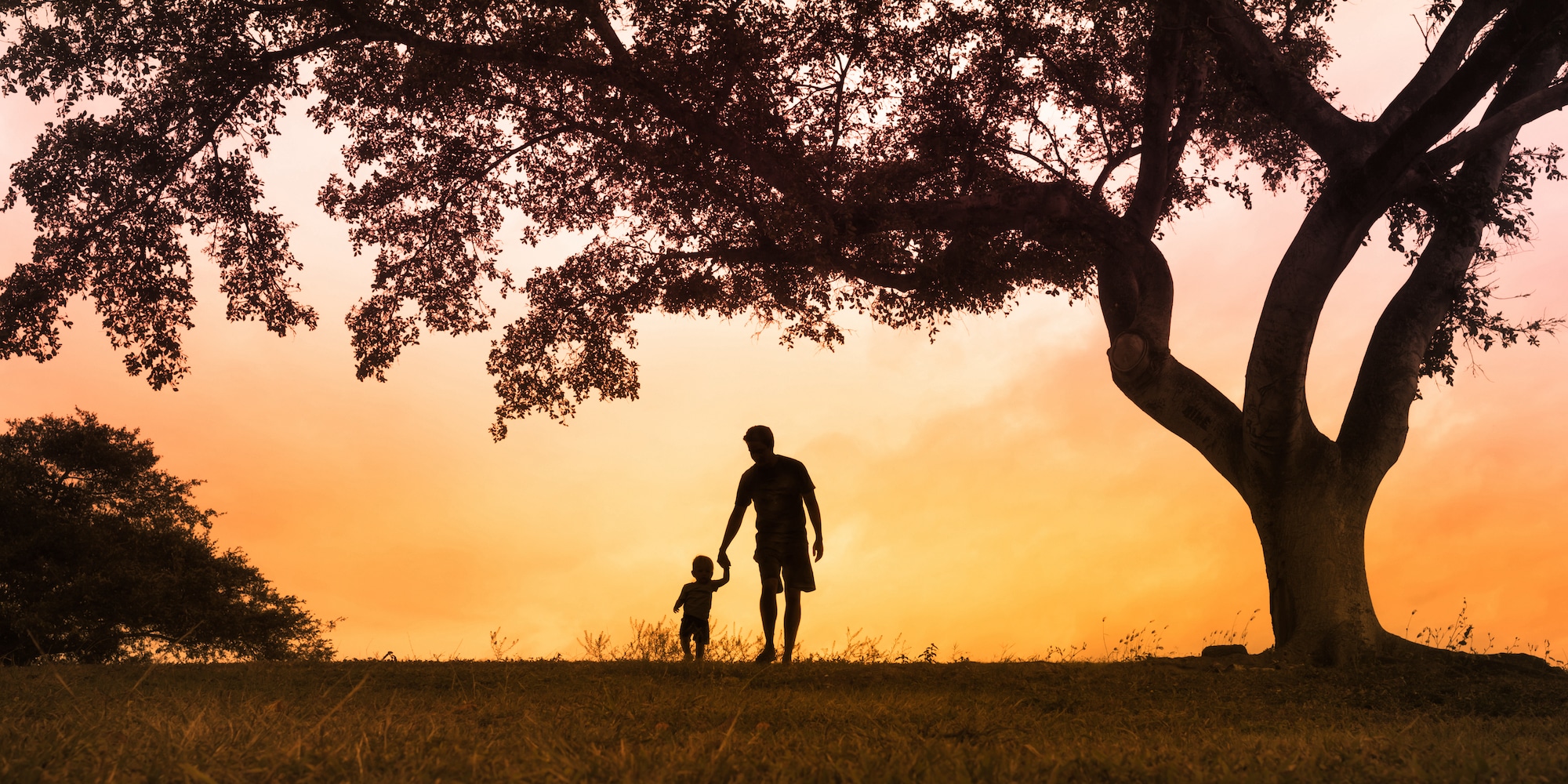 Tribute Blog How To Make A Beautiful Memorial Video
